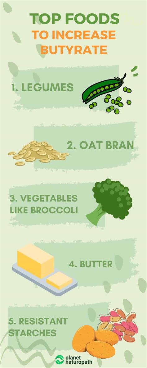 Butyrate Benefits 10 Things You Need To Know