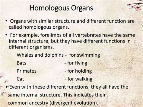 Homologous Organs And Analogous Organs Pptx