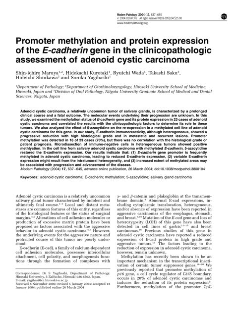 Pdf Promoter Methylation And Protein Expression Of The E Cadherin Gene In The