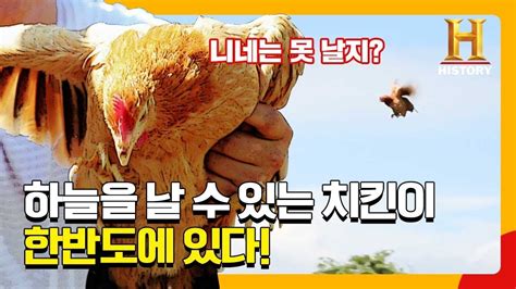 닭이 하늘을 나는 게 가능하다고 위대한 계발자 Youtube