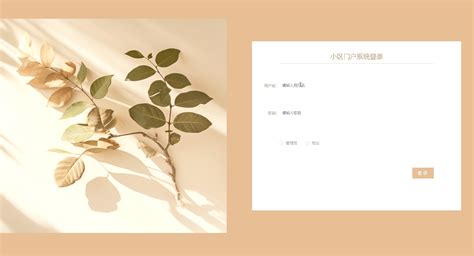 基于springbootvue微信小程序数据可视化大屏的小区门户系统设计和实现源码lw部署讲解大屏门户系统渲染应用 Csdn博客