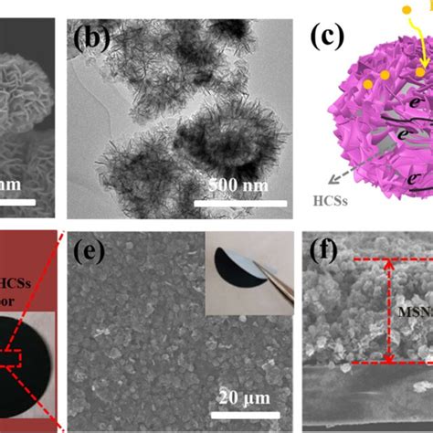 A Sem And B Tem Of Msnss Hcss Composites C The Schematic Diagrams Of Download Scientific