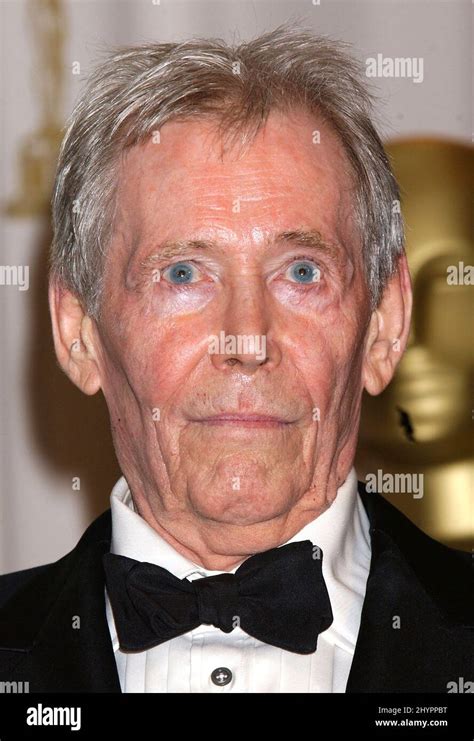 Peter Otoole Attends 75th Academy Awards Picture Hi Res Stock
