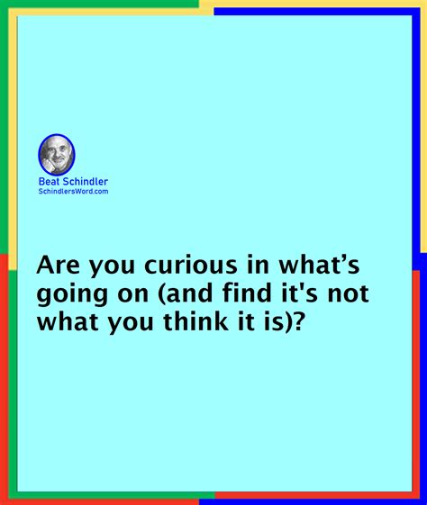 Are You Curious In Whats Going On And Find It S Not What You Think It Is Schindlersword