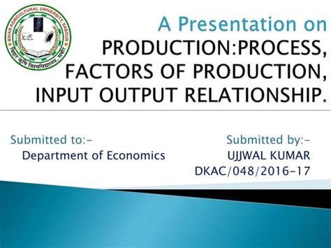 Production Process Factors Of Production Input Output Relationship