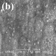 SEM Images For A AB 0 1 B AC 0 1 C AD 0 1 Download Scientific Diagram
