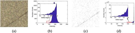 Defect Feature Enhancement Based On Adaptive Gain A Segmented Roi