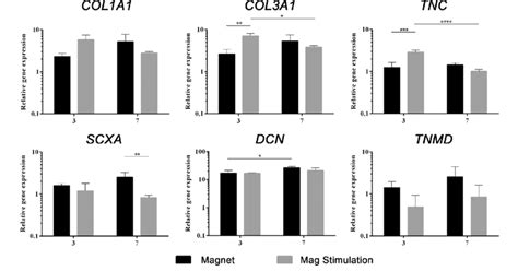 real time rt pcr analysis of collagen type i col1a1 collagen type