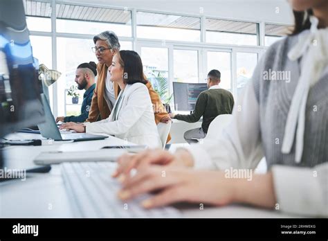 programming training and mentor with business people in office for