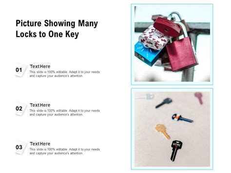 Picture Showing Many Locks To One Key Ppt PowerPoint Presentation Gallery Layout Ideas PDF