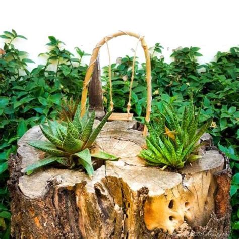 24 Creative Ways To Hide A Tree Stump In Your Garden
