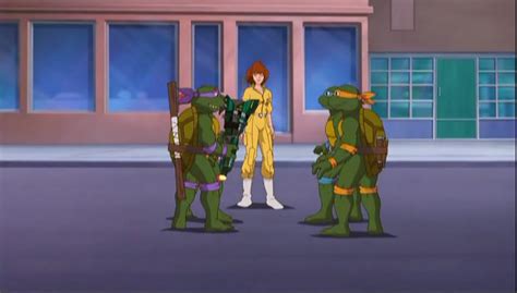 Turtles Forever 2009