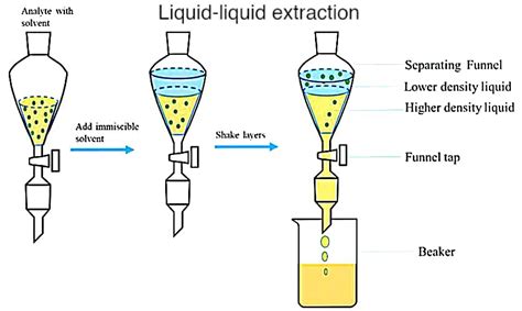 Solved Comparecontrast The Relational Aspects Of Miscibility And Polarity Course Hero