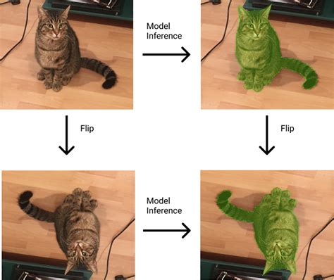 Equivariance Properties In Machine Learning