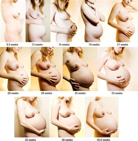 Foto De Hot Pregnant Progression Which Week Would You Choose