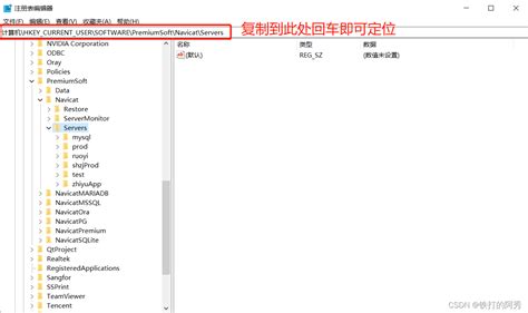 navicat已经成功连接，密码忘记的解决方法 navicat密码忘记了怎么办 csdn博客