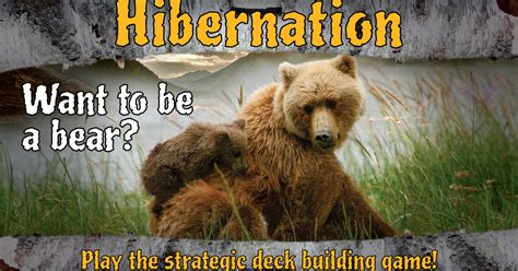 Hibernation A Strategic Card Game About Bears Indiegogo
