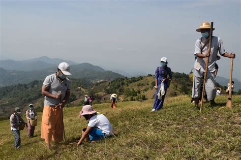 Dvb အင်းလေးကန်ရေဝေရေလဲဒေသ တောင်ကတုံးများတွင် သစ်စေ့မြေလုံးများ