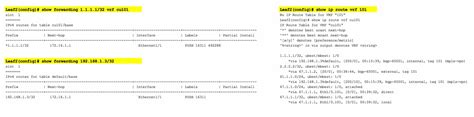 Deploy Layer EVPN Over Segment Routing MPLS Ospf IBGP In Nexus Cisco