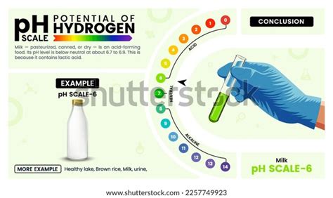 Ph Scale Six Properties Calculation Examples Stock Vector Royalty Free 2257749923 Shutterstock