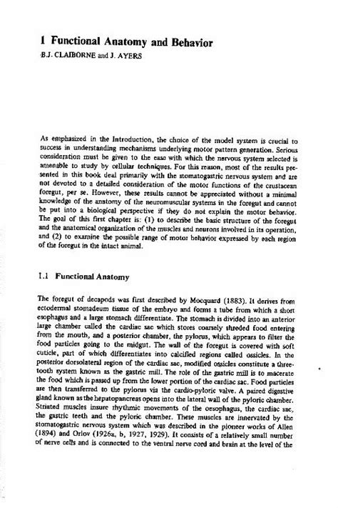 pdf functional anatomy and dokumen tips