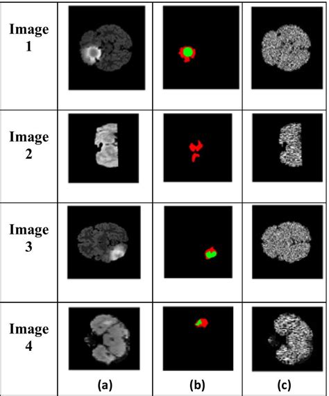 sample results a input image b segmented output of the fractional
