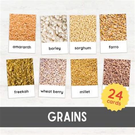 24 Grains Flash Cards Food Vocabulary Homeschool Materials Montessori