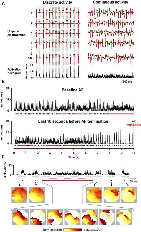 Assessment Of Spatiotemporal Organization With The Construction Of