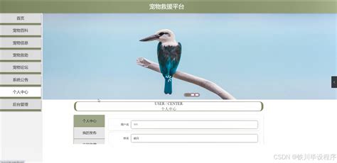 Java计算机毕业设计宠物救援平台（开题程序论文） Csdn博客