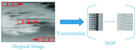 Construction Of The Non Overlapping Patch Nop Download Scientific