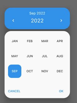 Flutter Month Picker Ui Issue 1 Flutter Custom Packages Flutter