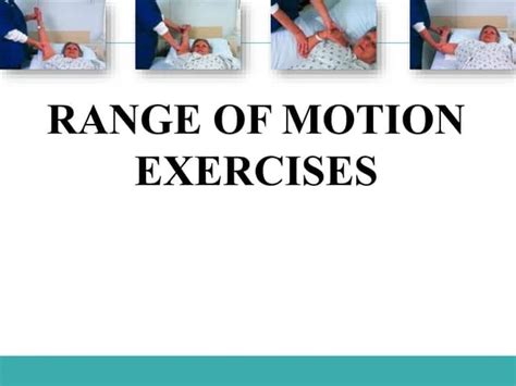 13 Best Exercises For Scoliosis Physical Therapy