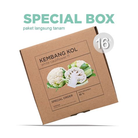 Jual Paket Langsung Tanam Gardening Kit Special Box Benih Kembang Kol F1 Bunga Kol Putih