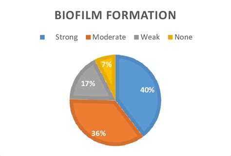 Correlation Of Biofilm Production Isolates From Various Samples By Download Scientific Diagram