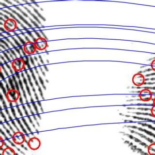 PDF Fingerprint Based Fuzzy Vault Implementation And Performance