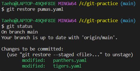 Git Working Directory Staging Area Repository