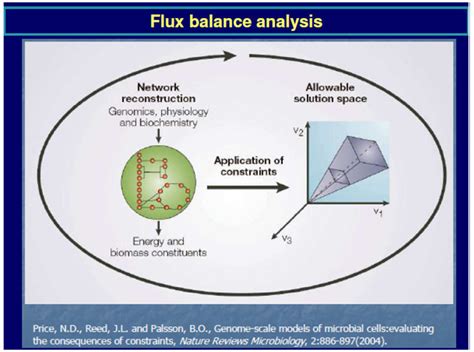 Continuation Solving A Flux Balance Analysis Problem Translates In
