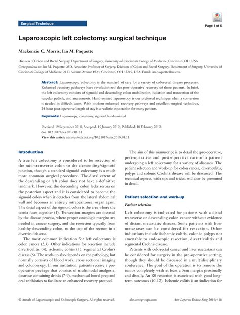 Laparoscopic Left Colectomy Surgical Technique Docslib