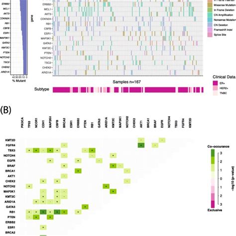 Metastatic Mutational Landscape A Oncoplot Of Somatic Mutations