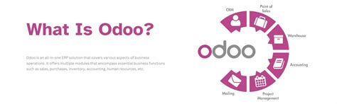 pros and cons of odoo a guide by odoo implementation partner