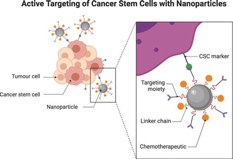 Nanocarriers For Anticancer Drugs Challenges And Perspectives Pmc