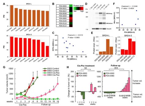 Increased Brd4 L And Brd4 S Promotes Chemotherapy Resistance In Ovarian Carcinoma Impact Journals