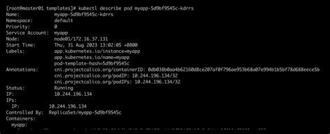 Kubernetes Helm 自定义 Charts 模板