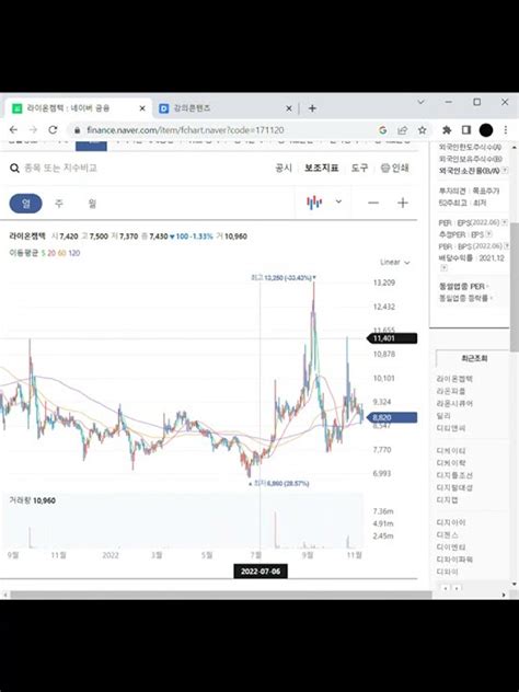 리모델링인테리어 관련주 라이온켐텍 1분 분석 Youtube