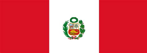 Webinar Situación En Perú International Sos
