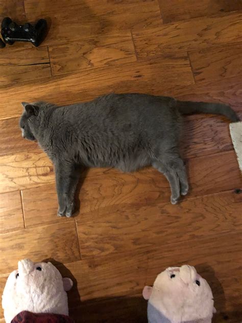 Colors For Developers Rsveltejs