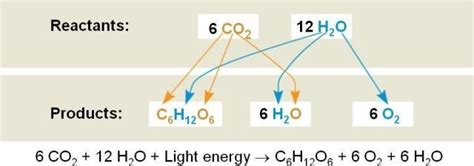 Examples Of Redox Reactions In Everyday Life Studiousguy