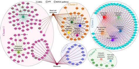 top five mcode clusters of the ageing network obtained using the degs