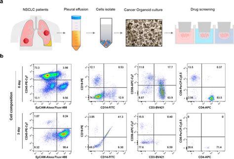 International Society Of Organoid Research On Linkedin Prediction Of