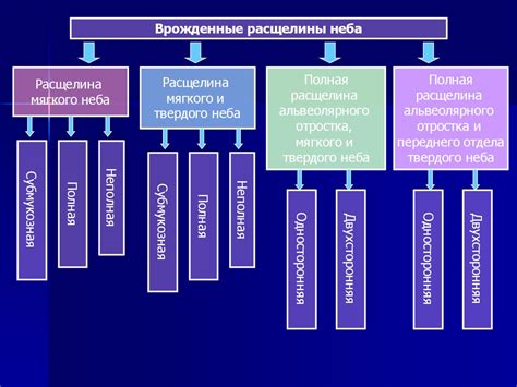 Основы логопедии. Ринолалия: определение, статистика, симптоматика ...